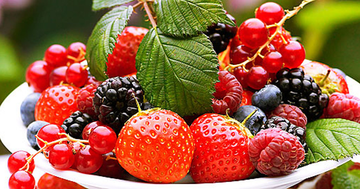 Fakta om frukt och bär | Arla