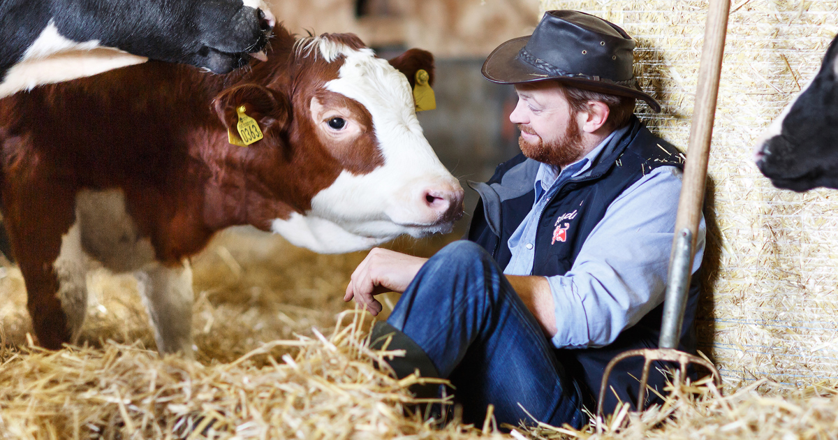 Bonden, korna & bondgården | Arla